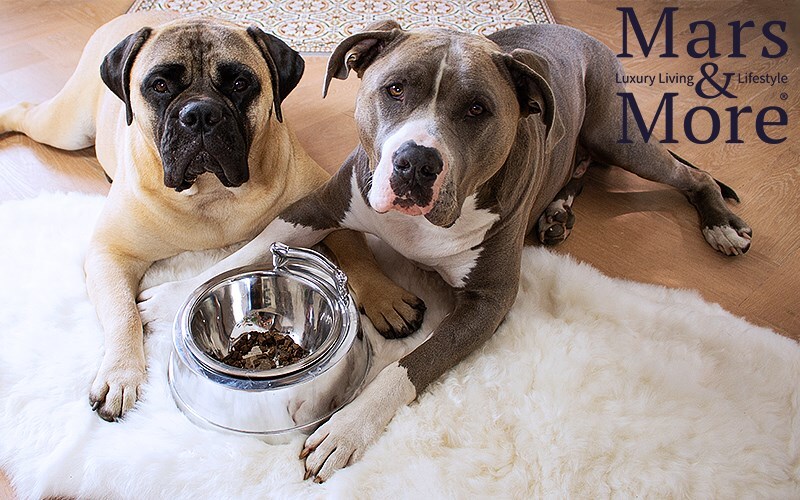 Mars & More voerbak kluif bot hond maat 1 - DierenCadeaus